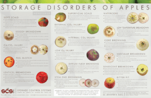 Apple Disorders Poster | Storage Control Systems